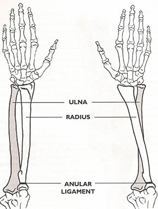 Forearm Rotation Keyboard (Intro)